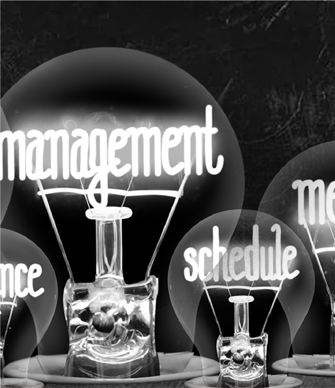 What We Do – Wolves Work